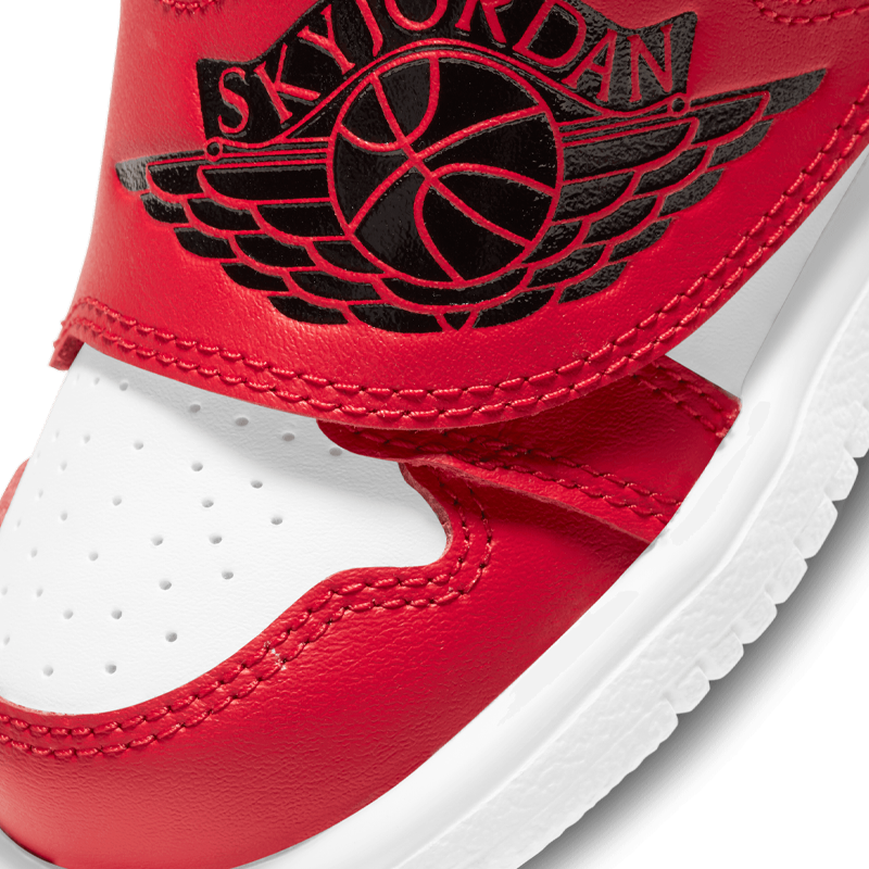 Sky Jordan1 (TD) | Lemkus